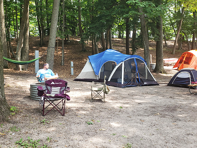 Camping under Michigan's towering pines &ndash; where stories around the fire become family legends and stars seem close enough to touch.