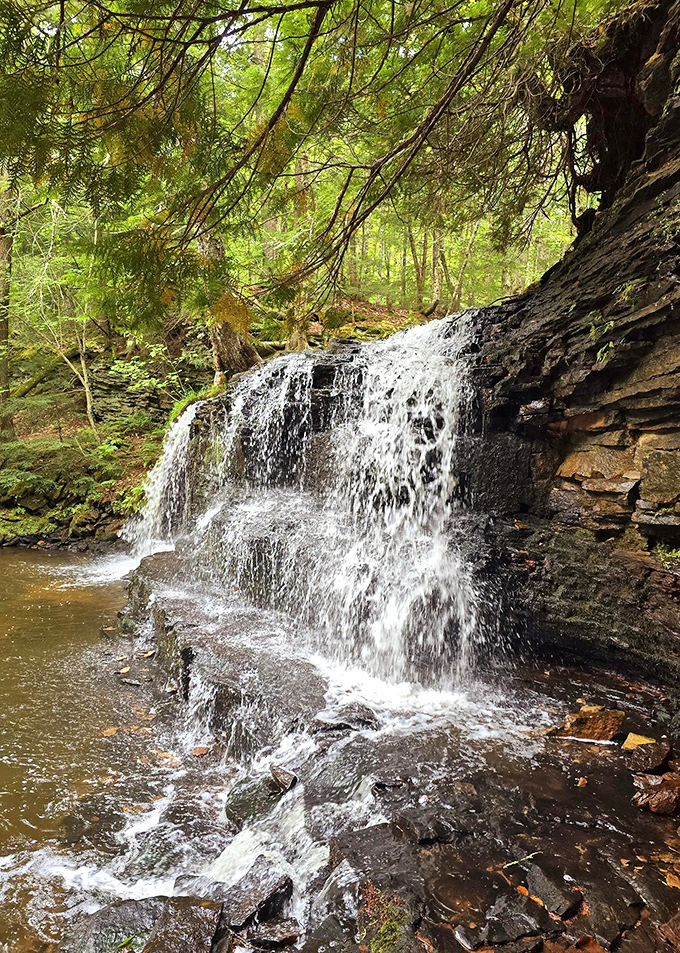 Water tumbles over ancient rock ledges, creating a natural staircase that's been under continuous renovation for thousands of years.