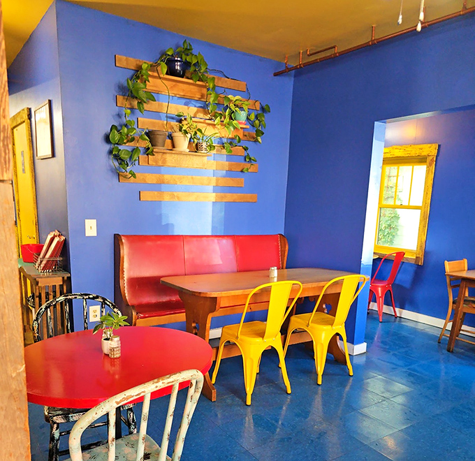 Primary colors pop against blue walls in this dining area, where hanging plants add a touch of greenery to the vibrant space.