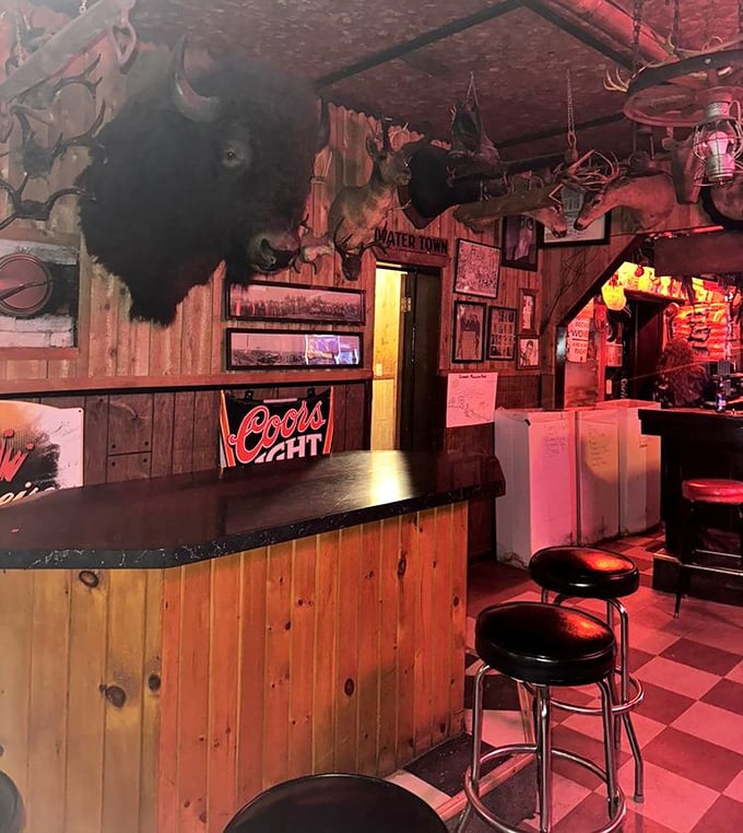 Simple wooden tables and chairs provide respite beneath a parade of preserved wildlife &ndash; dining with an audience has never been so literal.