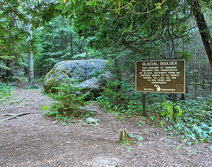 This massive rock traveled further than most people do in a lifetime, courtesy of ancient glaciers with impressive strength.