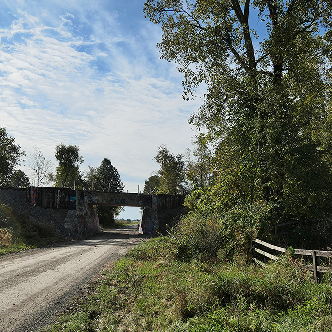 In warmer months, nature begins to reclaim areas around the bridge, creating a striking contrast between wild growth and human expression.