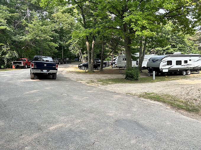 RV paradise without the overcrowding – spacious sites nestled among mature trees offer the perfect balance of privacy and community.