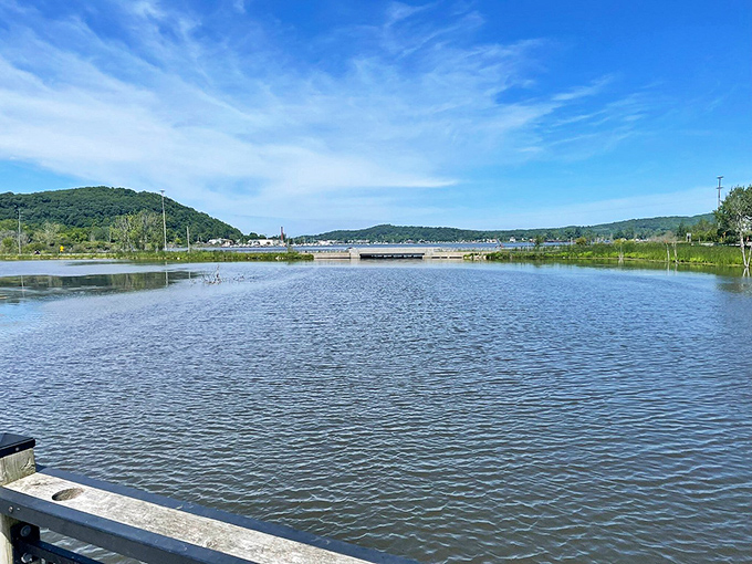 Sailboats dot the harbor like elegant water bugs, reminding cyclists that there's more than one way to enjoy Michigan's liquid treasures.