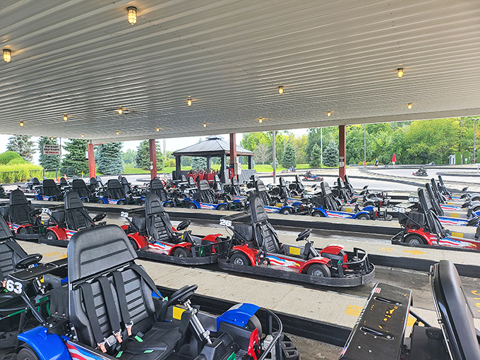Go-karts lined up like soldiers ready for battle &ndash; each promising speed, competition, and the occasional friendly bumper tap.