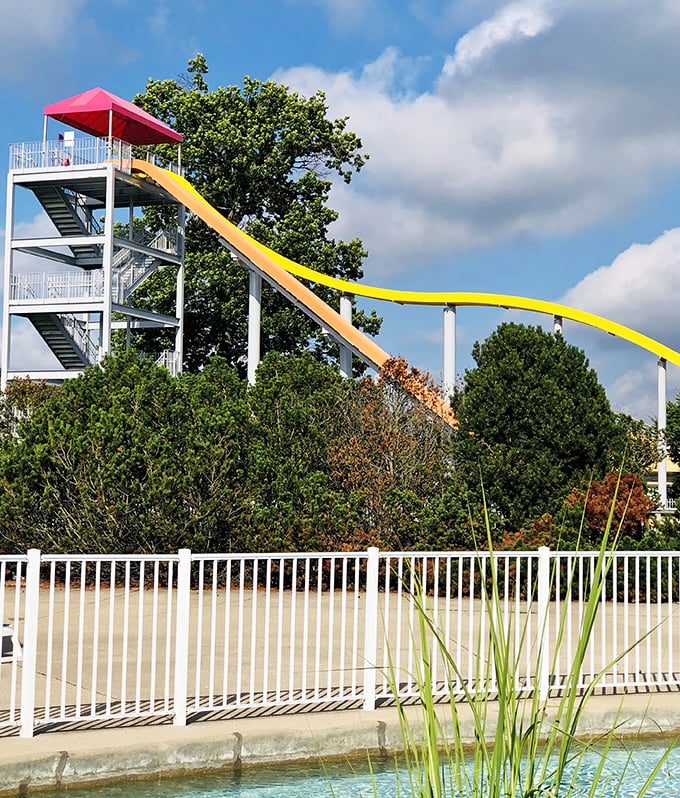 This towering water slide isn't just tall &ndash; it's a monument to the human desire to voluntarily terrify ourselves for fun.