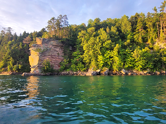 Sunlight filters through this natural cathedral of trees, creating the kind of moment that makes you forget to check your phone.