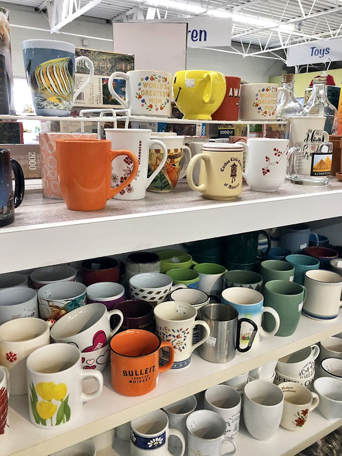 Mug shot gallery! From quirky slogans to vacation souvenirs, these ceramic vessels have held countless morning coffees and midnight teas.