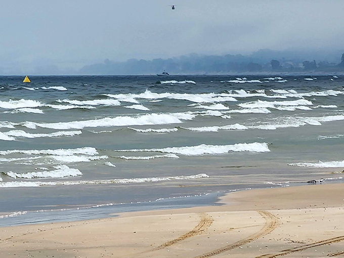 When Lake Michigan decides to show off, waves dance across the surface like nature's own choreography.