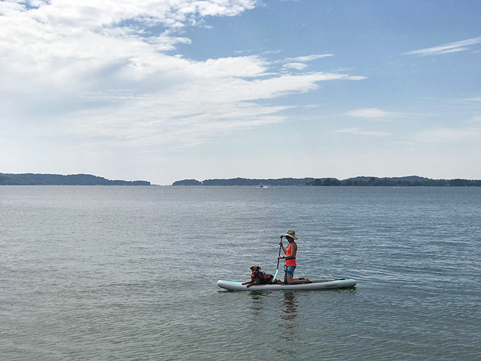 Paddleboarding on Portage Lake's calm waters offers the perfect balance of exercise and relaxation.