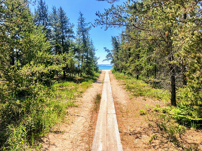 This humble wooden walkway serves as a portal between worlds, leading from forest shadows to brilliant lakeshore light.