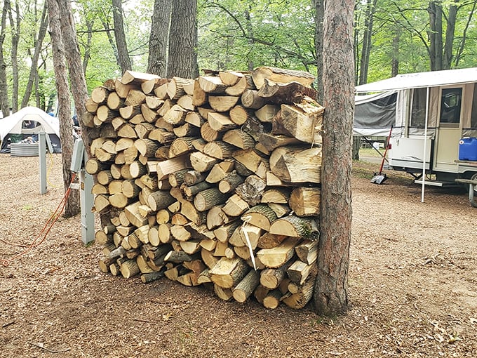 Campfire dreams stacked and ready! This impressive woodpile promises evenings of marshmallow roasting, storytelling, and stargazing.