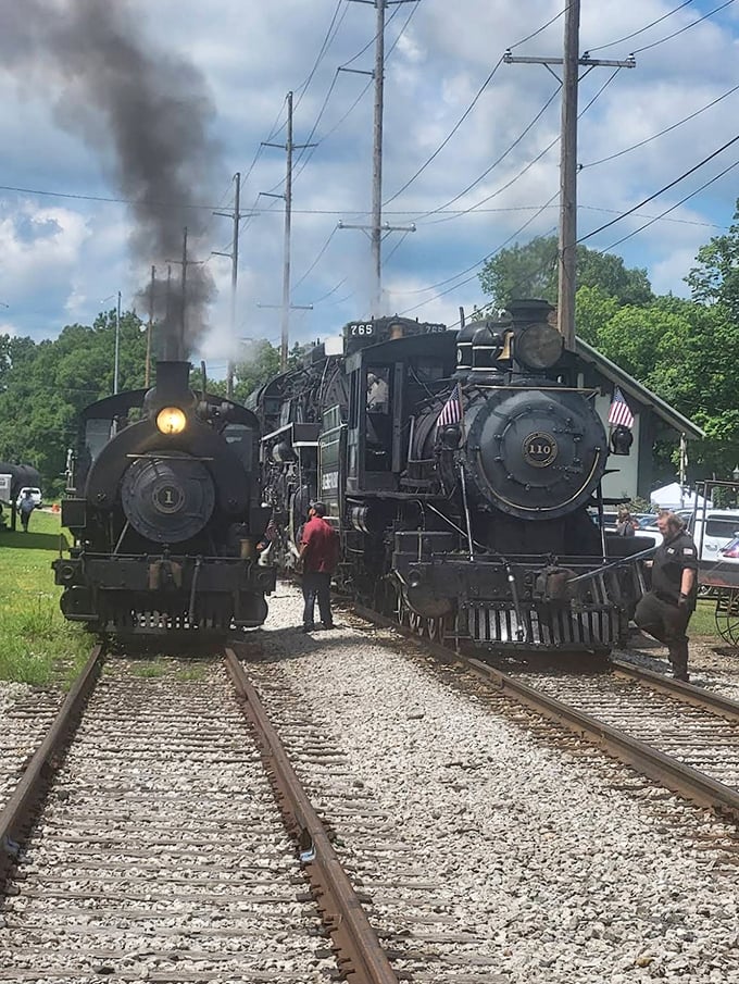 A meeting of iron giants &ndash; locomotives No. 1 and No. 110 stand side by side, comparing notes on a century of American journeys.