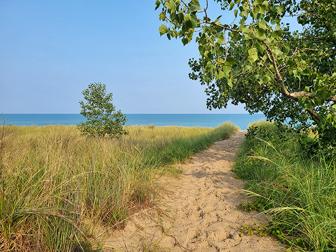 Nature's invitation: a sandy path cutting through dune grass leads to the big blue beyond.