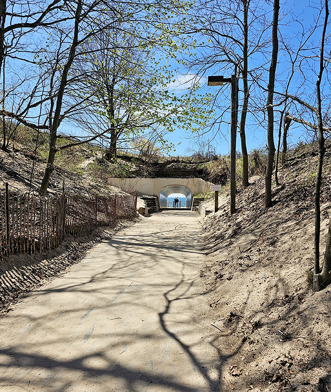 The sandy pathway leads visitors through dunes to the tunnel, nature's own dramatic entrance to Lake Michigan's splendor.