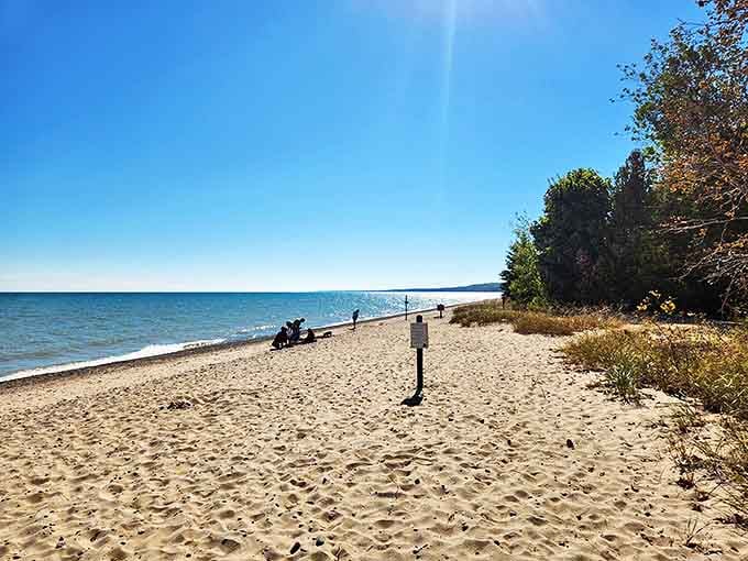 The beach stretches invitingly along Lake Huron's shore, its golden sands rivaling destinations requiring much longer flights.