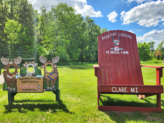 The oversized Adirondack chair offers the perfect photo opportunity &ndash; because nothing says "I visited reindeer" like looking tiny next to giant furniture.
