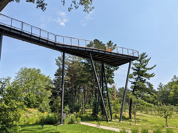 Engineering meets nature as the walkway's sleek design complements rather than competes with the forest's grandeur.