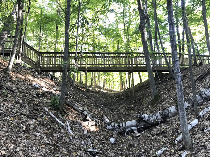 This rustic wooden bridge spans a ravine carved by centuries of water flow, connecting visitors to nature's architectural genius.