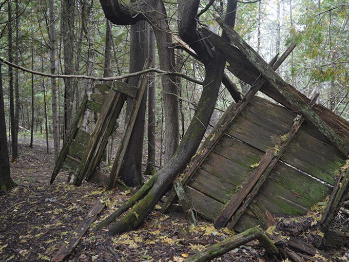 Besser Natural Area 5