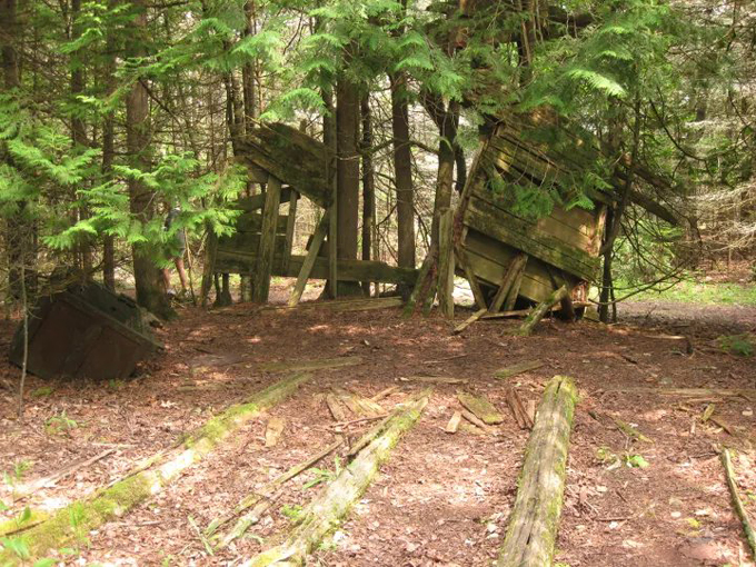 Besser Natural Area 6