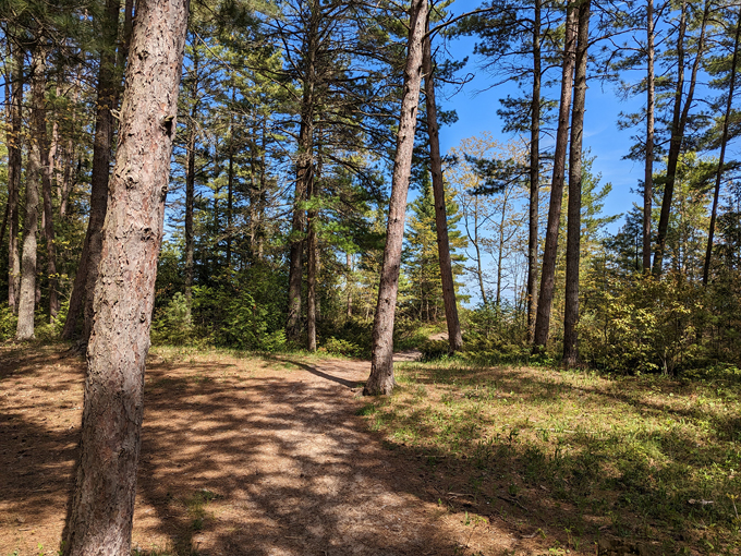 Besser Natural Area 7