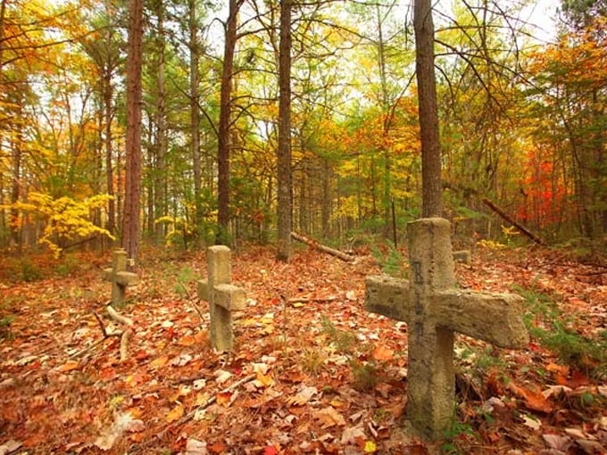 Besser Natural Area 8