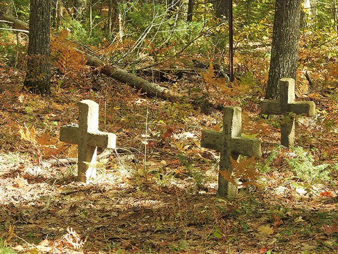 Besser Natural Area 9