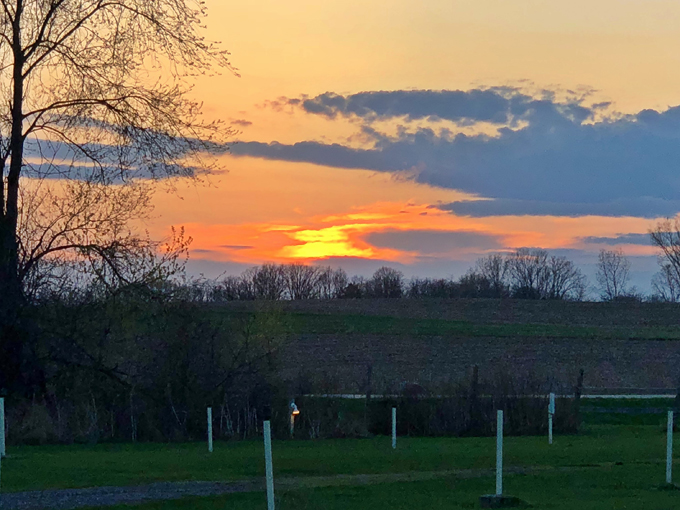 Big Sky Twin Drive-In Theater 5
