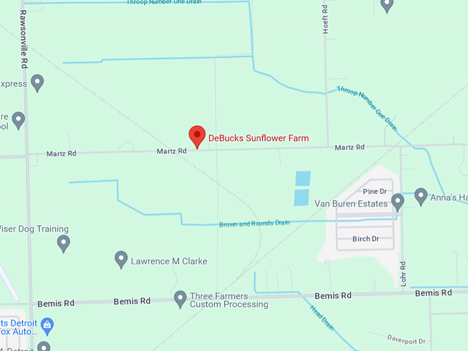 DeBuck&rsquo;s Sunflower Farm 10 Map