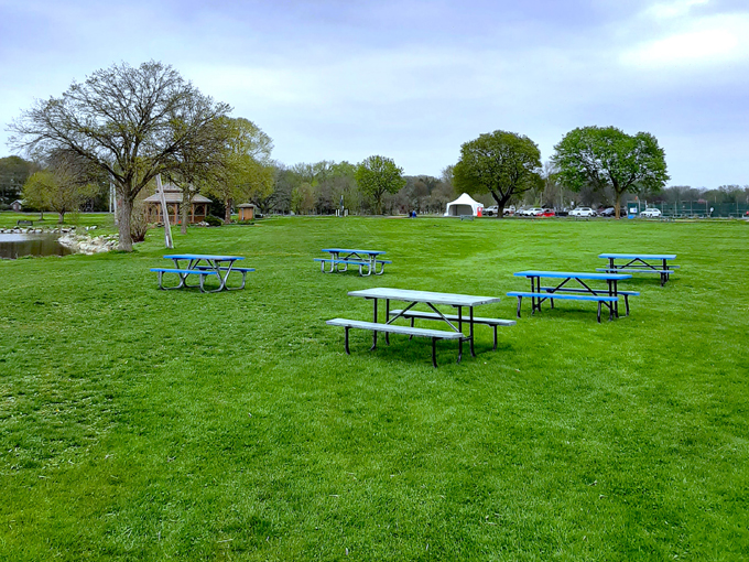 Dream Park Playground 4