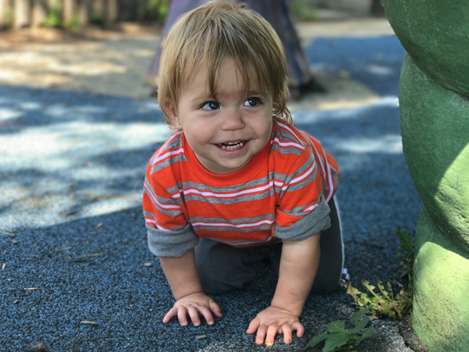 Dream Park Playground 6