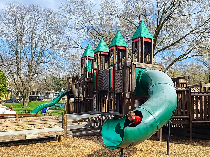 Dream Park Playground 7