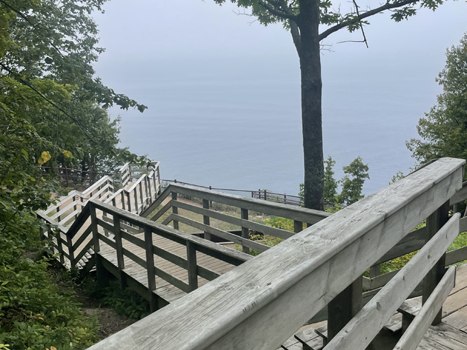 ellison bluff loop 6