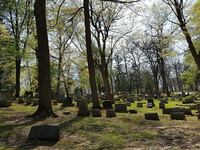 Forest Hill Cemetery 1
