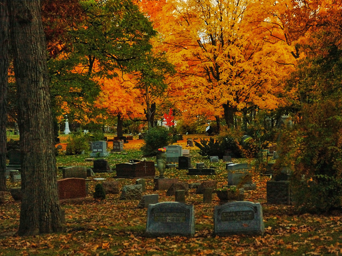 Forest Hill Cemetery 2