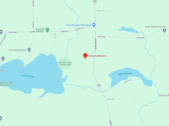 Gorby Sunflowers map