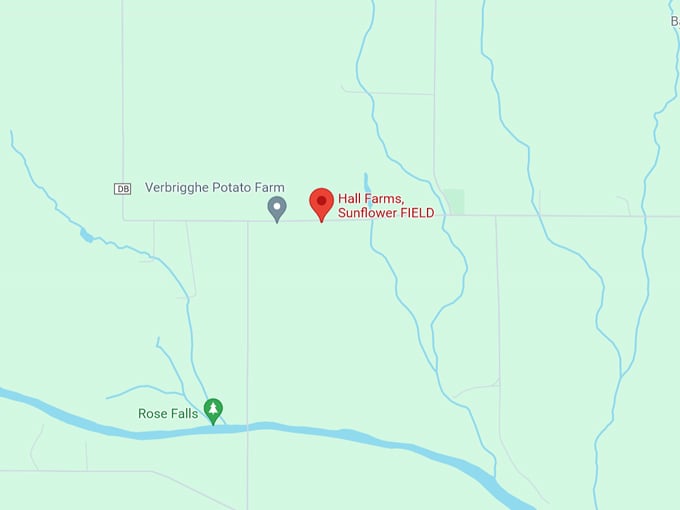 Hall Farms Sunflower Field 10 Map