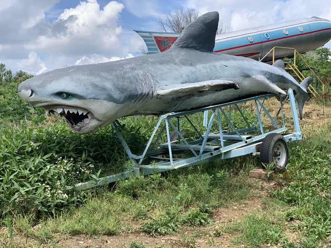 Hot Sam's Antiques Collectibles & Furniture 5