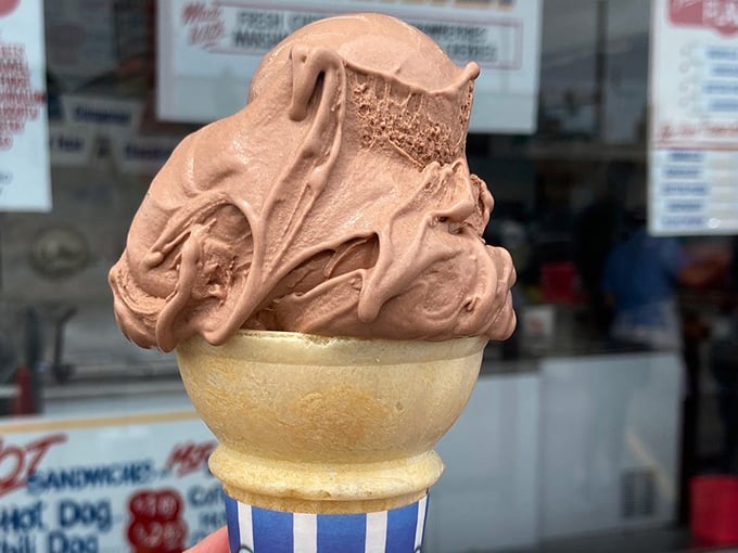 Leon's Frozen Custard 8