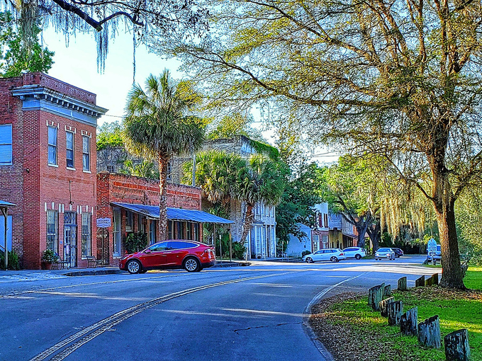 Micanopy 3