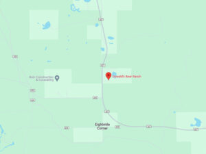 The Largest Bear Ranch In America Is Right Here In Michigan, And It’s ...