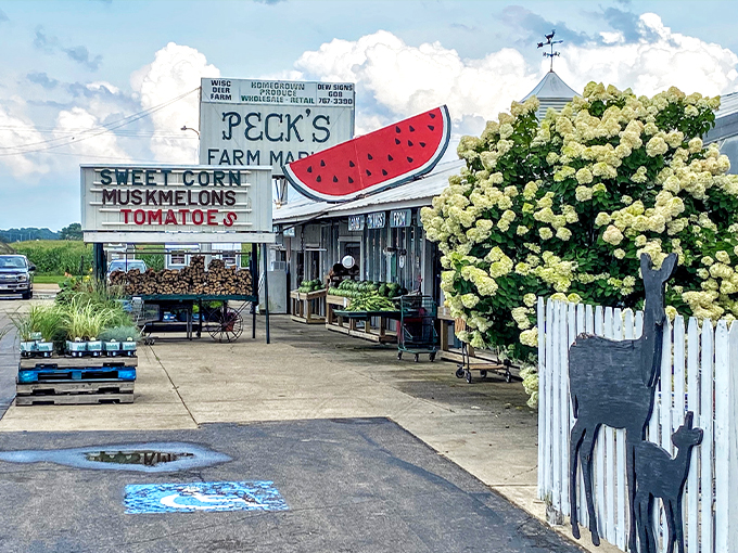 Peck&rsquo;s Farm Market East 1