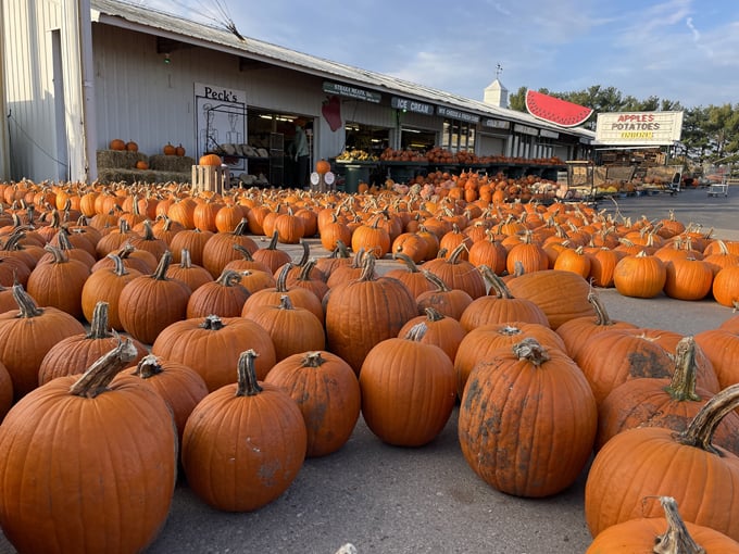 Peck&rsquo;s Farm Market East 8