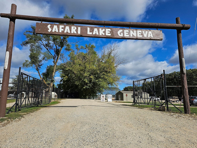 Safari Lake Geneva 2