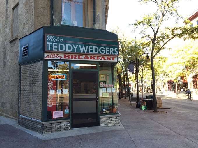 Teddywedgers 8
