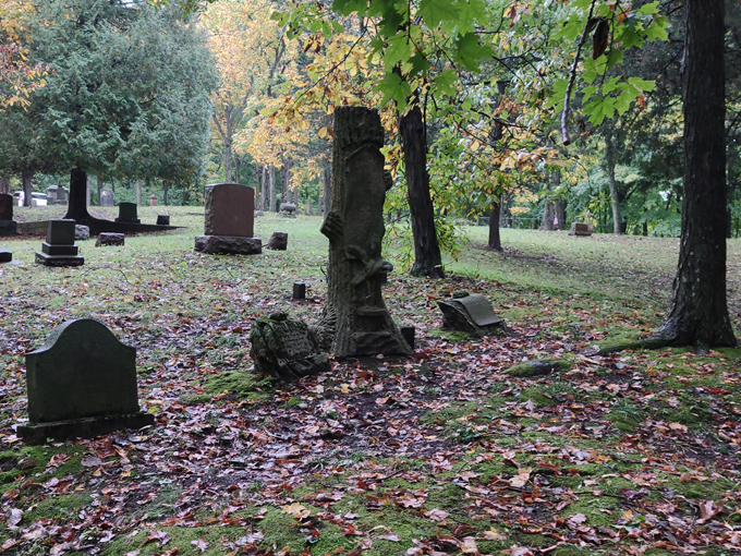 Walnut Grove Cemetery 3