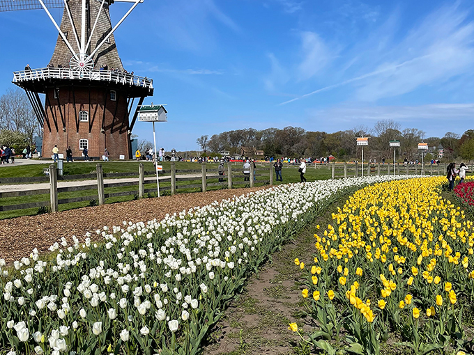 Windmill Island Gardens 4