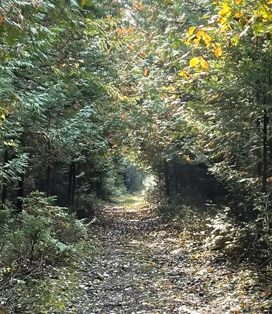 abandoned limestone quarry michigan ftr