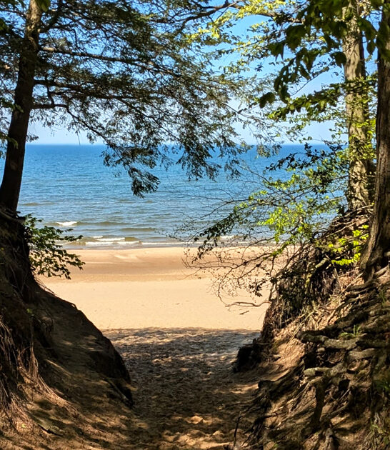 beach trail michigan ftr